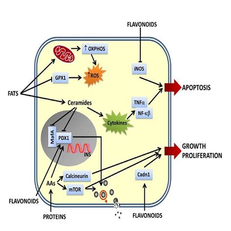 Nutrigenomics The Microbiome And Geneenvironment From Gut To Brain