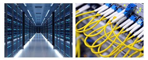 Everything You Need To Know About Loopback Cable Qsfptek