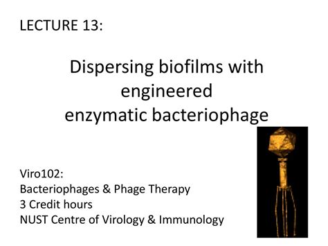 Dispersing Biofilms With Engineered Enzymatic Bacteriophage Ppt Download