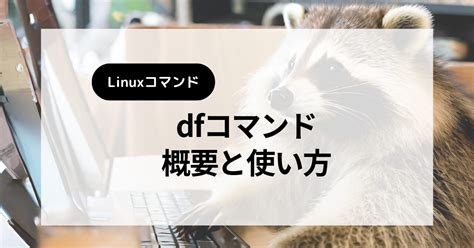 Linuxコマンド Dfコマンドの概要と使い方 やすひらブログ