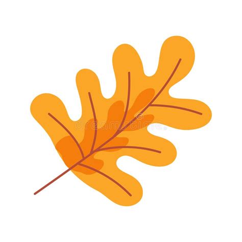 Dry Herbarium Oak Leaf Golden Oak Tree Leaf Stock Vector Illustration