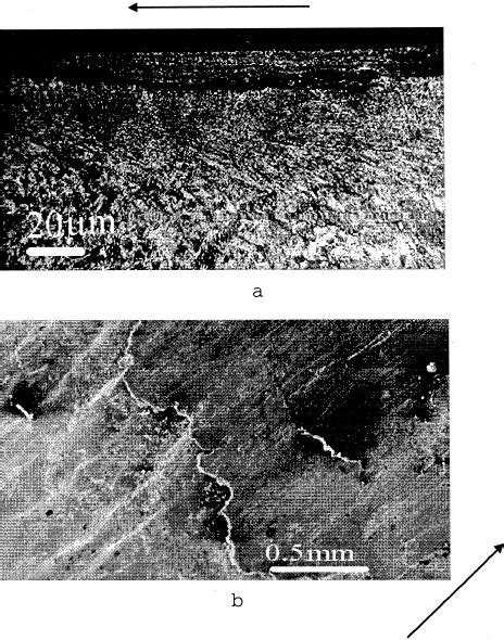 Optical And Sem Micrographs Showing The Structure Of Subsurface Layers Download Scientific