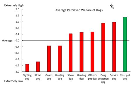 Does Your Dog Really Have A Better Life Than Other Dogs Psychology Today