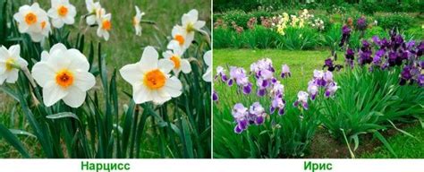 Цветя за гробища