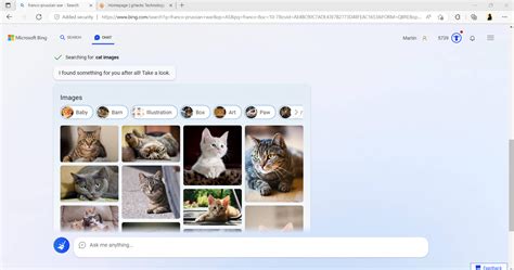 bing chat can return images and videos now ghacks tech news