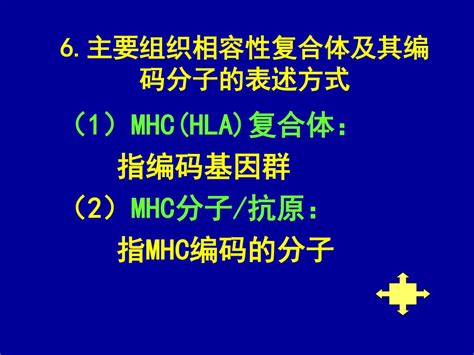 Ppt Major Histocompatibility Complex And
