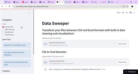 Datasweeper Python Webdevelopment Datacleaning Streamlit