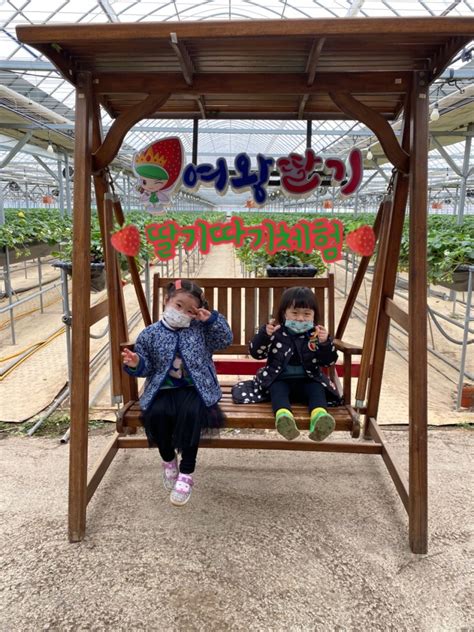 대구근교가볼만한곳 고령여왕딸기딸기따기체험깡통열차딸기퐁듀2134 네이버 블로그