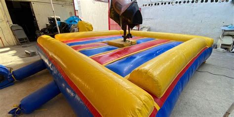 Renta De Mini Toro ¡contrata Tu Fecha ⭐️⭐️⭐️⭐⭐️