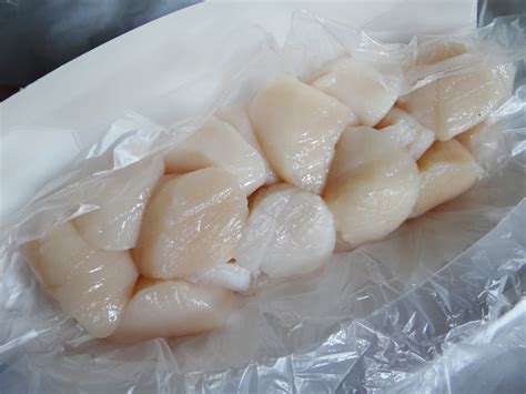 Raw Scallops The Portuguese American Mom