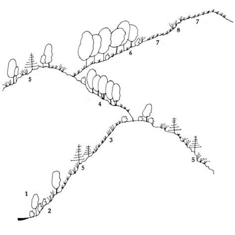 Chord Distance Dendrogram Of The Floristic Matrix Using Dissimilarity Download Scientific