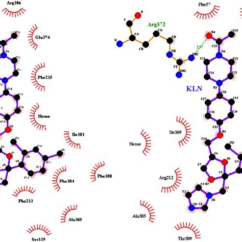 A Rms Deviations For Protein Backbone Structure Of Both Normal And Download Scientific