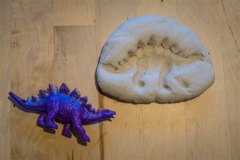 Make Your Own Dinosaur Fossils Tippytupps