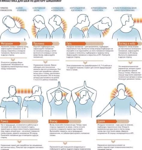 Как сделать шею здоровой упражнения доктора Шишонина 0 Упражнения