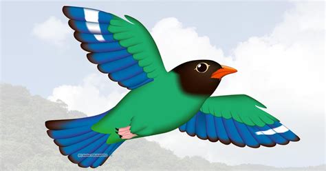 野鳥 ブッポウソウイラスト無料画あり二次使用OK あとりえポルカドッツ