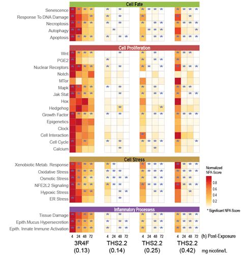 Heatmap Of Network Perturbation Amplitude Npa Scores Of Biological Download Scientific