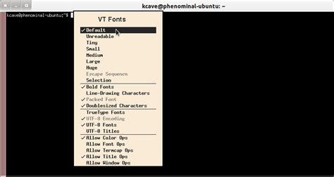 Customize Xterm The Original And Best Terminal Scarygliders