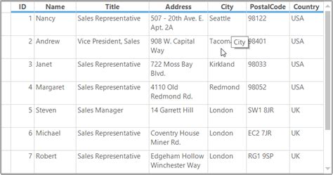 Tooltip In Windows Forms Gridgrouping Control Syncfusion®