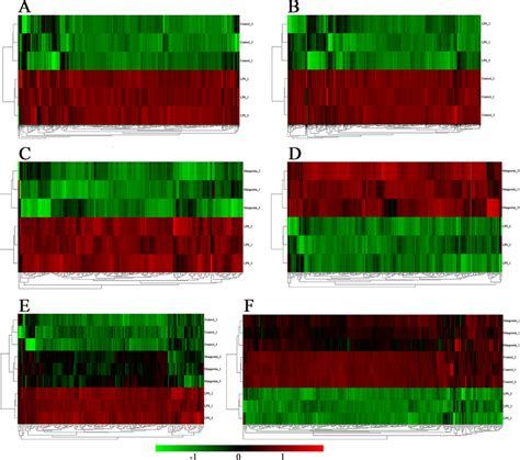 Hierarchical Clustering And Heat Map Of The Rna Seq Data For Degs In
