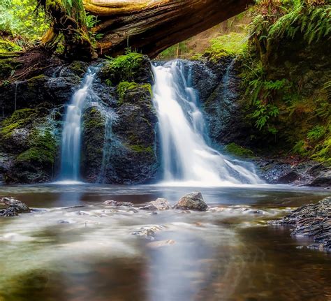 সুন্দর সুন্দর পিক দেখান সুন্দর সুন্দর পিকচার সুন্দর সুন্দর ছবি ডাউনলোড করুন