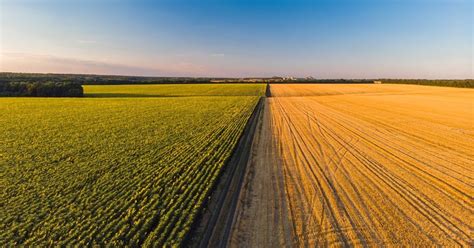 В Україні відбувся перший аукціон з оренди держземлі Бізнес Цензор