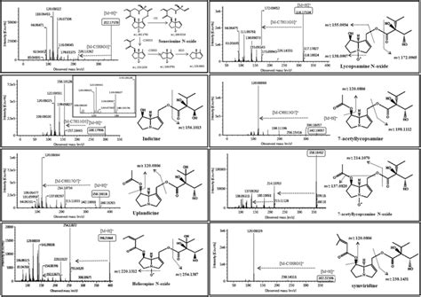 Msms Spectra Acquired From The Sample And Proposed Fragmentation