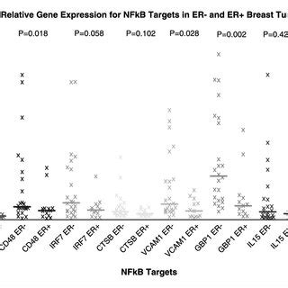 Median Relative NF NB Target Gene Expression Level In Clinically ER Download Scientific