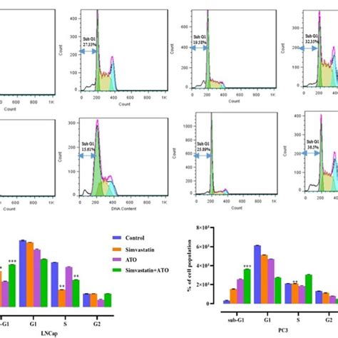 Cell Cycle Analysis Of Lncap And Pc3 Cell Lines A Lncap Cell