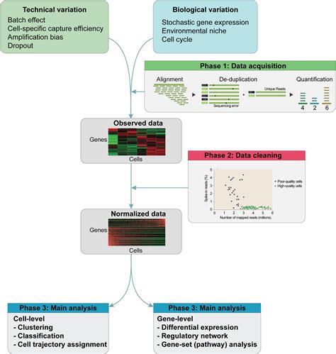 Single Cell Rna Seq Biocode
