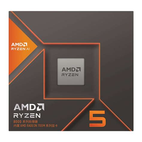 Amd Ryzen 5 8600g 6 Core 43ghz Am5 Cpu Rc It Services