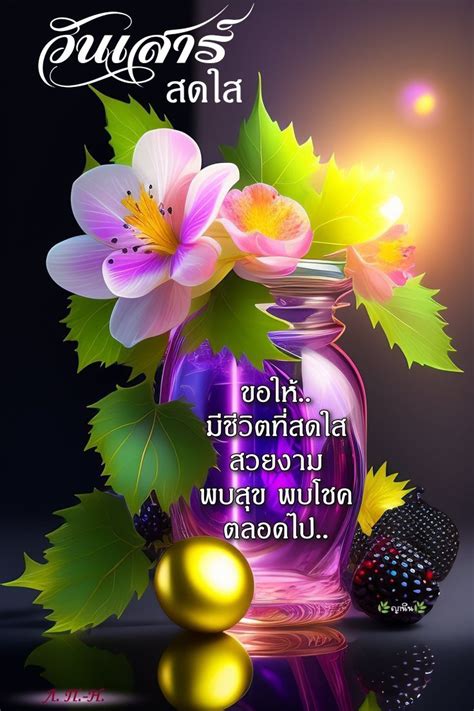 วันเสาร์ 🌿💜 สวัสดีตอนเช้า ฝันดีราตรีสวัสดิ์ การถ่ายภาพดอกไม้