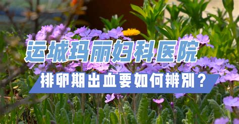 运城玛丽妇科医院排卵期出血要如何辨别 哔哩哔哩