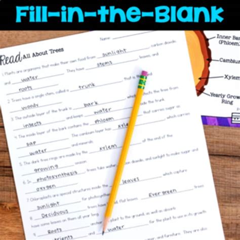 All About Tree Ring Plant Structure And Function Reading Passage 4th Grade Science