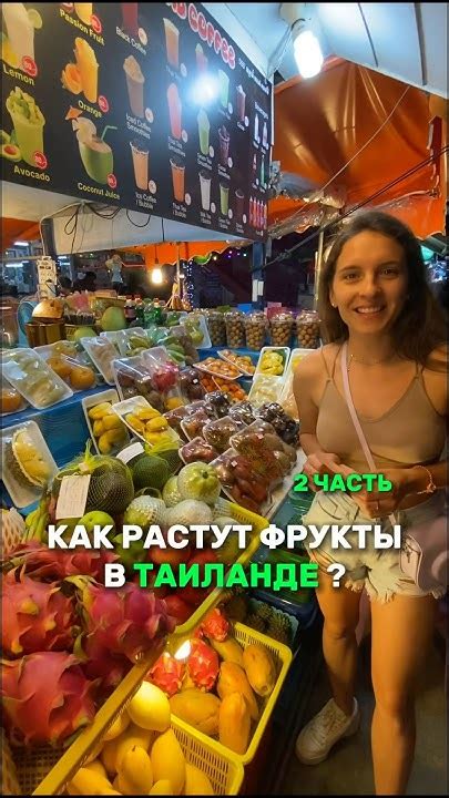 Так растут фрукты в Таиланде 😍 Youtube