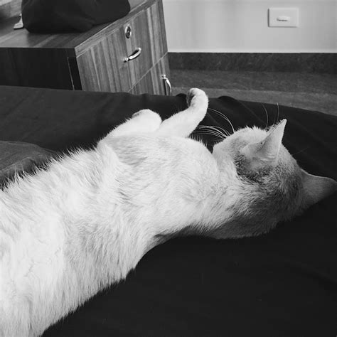 Mohamed Shajith Youtube