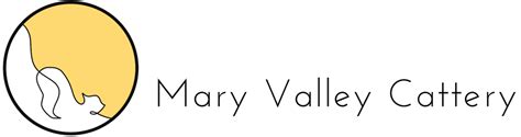 Mary Valley Cattery