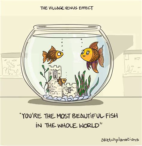 Sunil Jacob On Linkedin Growthmindset Continuousimprovement