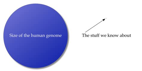 The Best Variant Prediction Method That No One Is Using Enlis