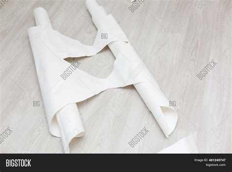 Designer Creates Model Image And Photo Free Trial Bigstock