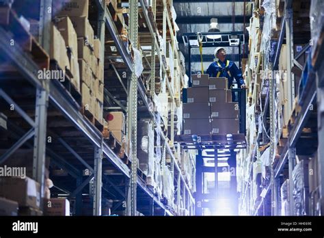 Worker Operating Forklift Stacking Cardboard Boxes On Distribution Warehouse Shelves Stock Photo