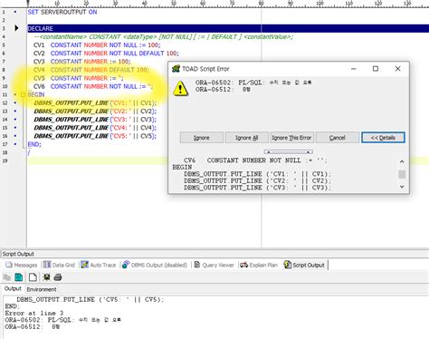 [oracle] Pl Sql 상수 선언 Constant Declaration [오라클]