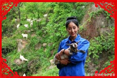 目前农村搞养殖，有什么项目是本钱少、好养又不愁销路的？这几种加盟星百度招商加盟服务平台