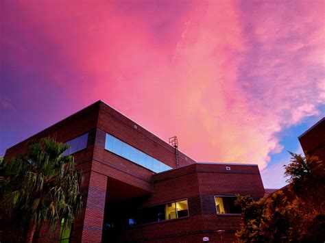 Does Ucf Have Any Cooking Or Baking Classes I Could Take As An Elective R Ucf