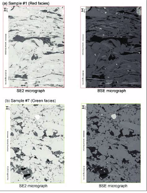 Different Pore Types Detected In Different Facies Download Scientific Diagram