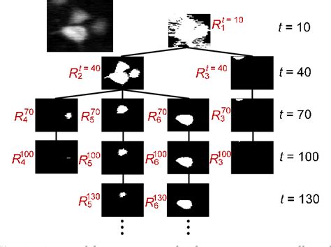 Figure 1 From A Method For Real Time Memory Efficient Implementation Of Blob Detection In Large