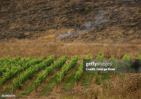 Alamo Fire Photos And Premium High Res Pictures Getty Images