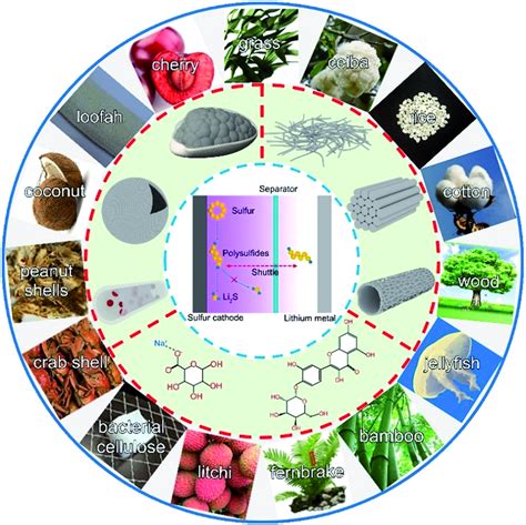 The Schematic Diagram Of Bio Derived Materials Applied In The Lis Download Scientific Diagram