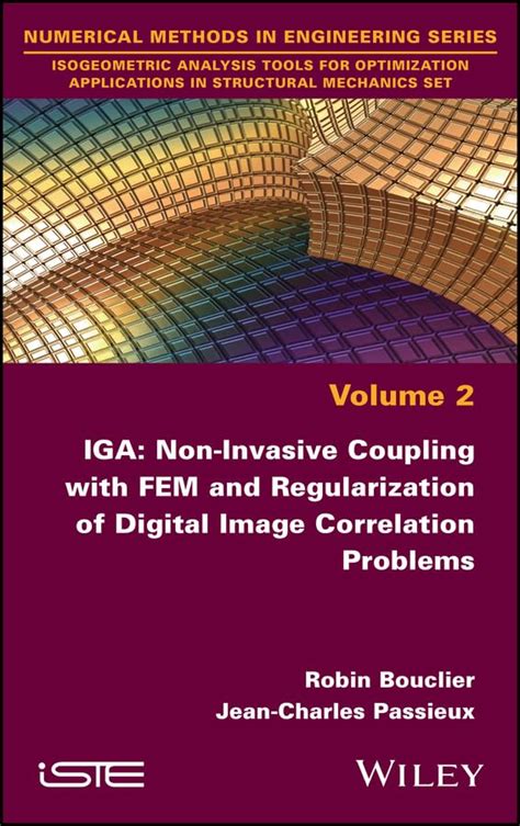 Iga Non Invasive Coupling With Fem And Regularization Of Digital Image Correlation Problems