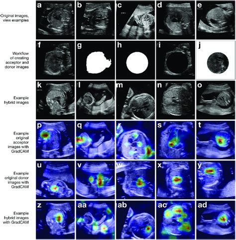 Image Examples And Workflow For Applying A Bespoke Cut Paste Data Download Scientific Diagram