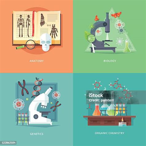 교육 및 과학 컨셉입니다 일러스트 구조 생물학 유전학 유기 Chemistry Dna에 대한 스톡 벡터 아트 및 기타 이미지 Dna 개념 개념과 주제 Istock